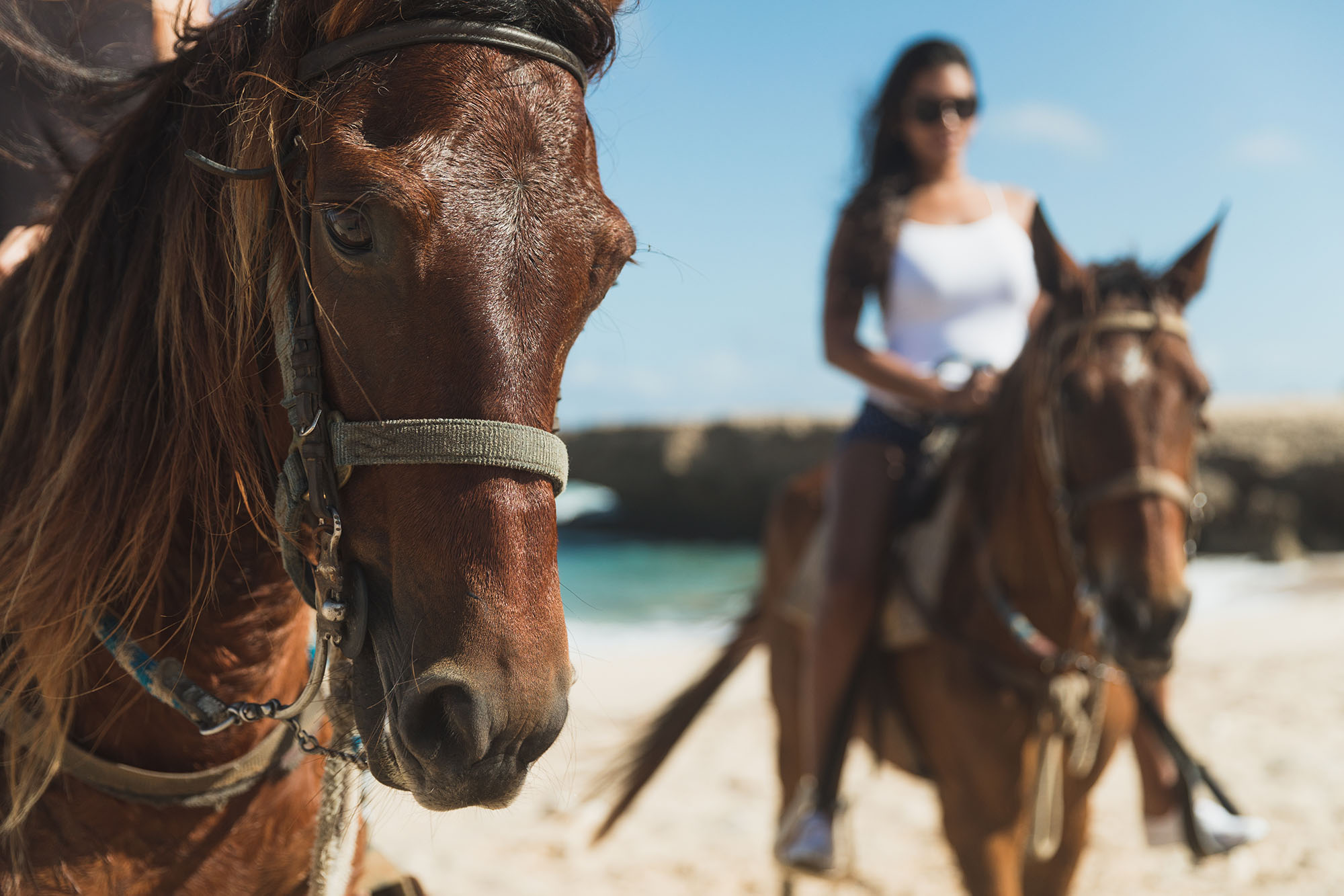 Gallery - Horseback Riding in Aruba