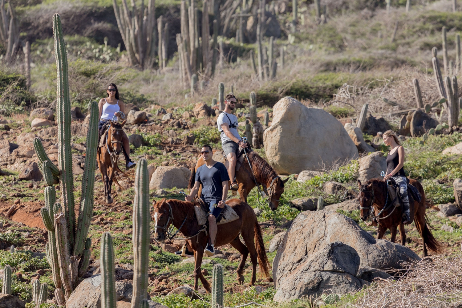 Home - Horseback Riding in Aruba