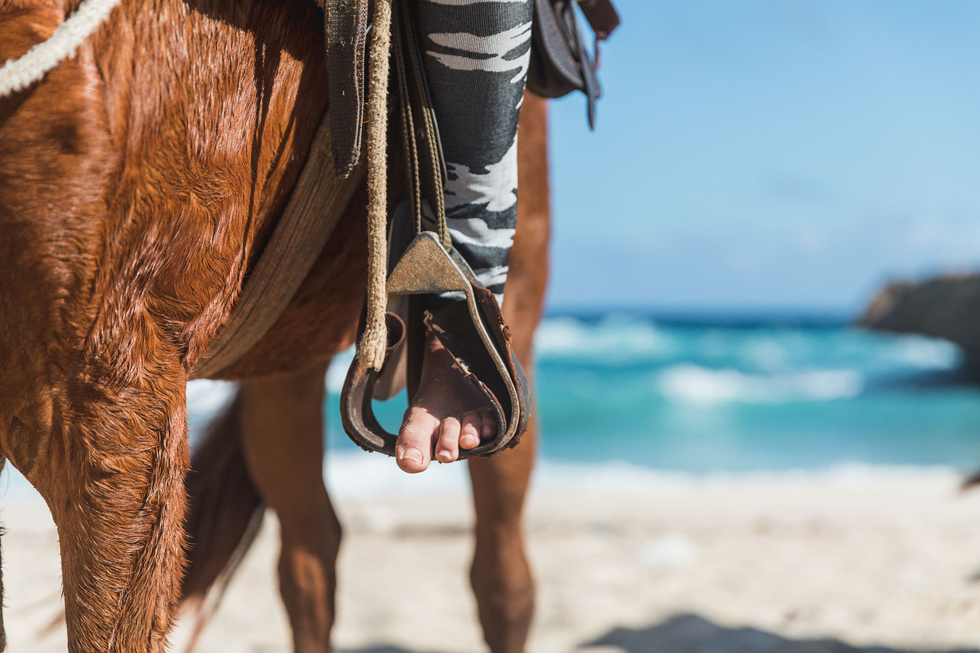 Gallery - Horseback Riding in Aruba