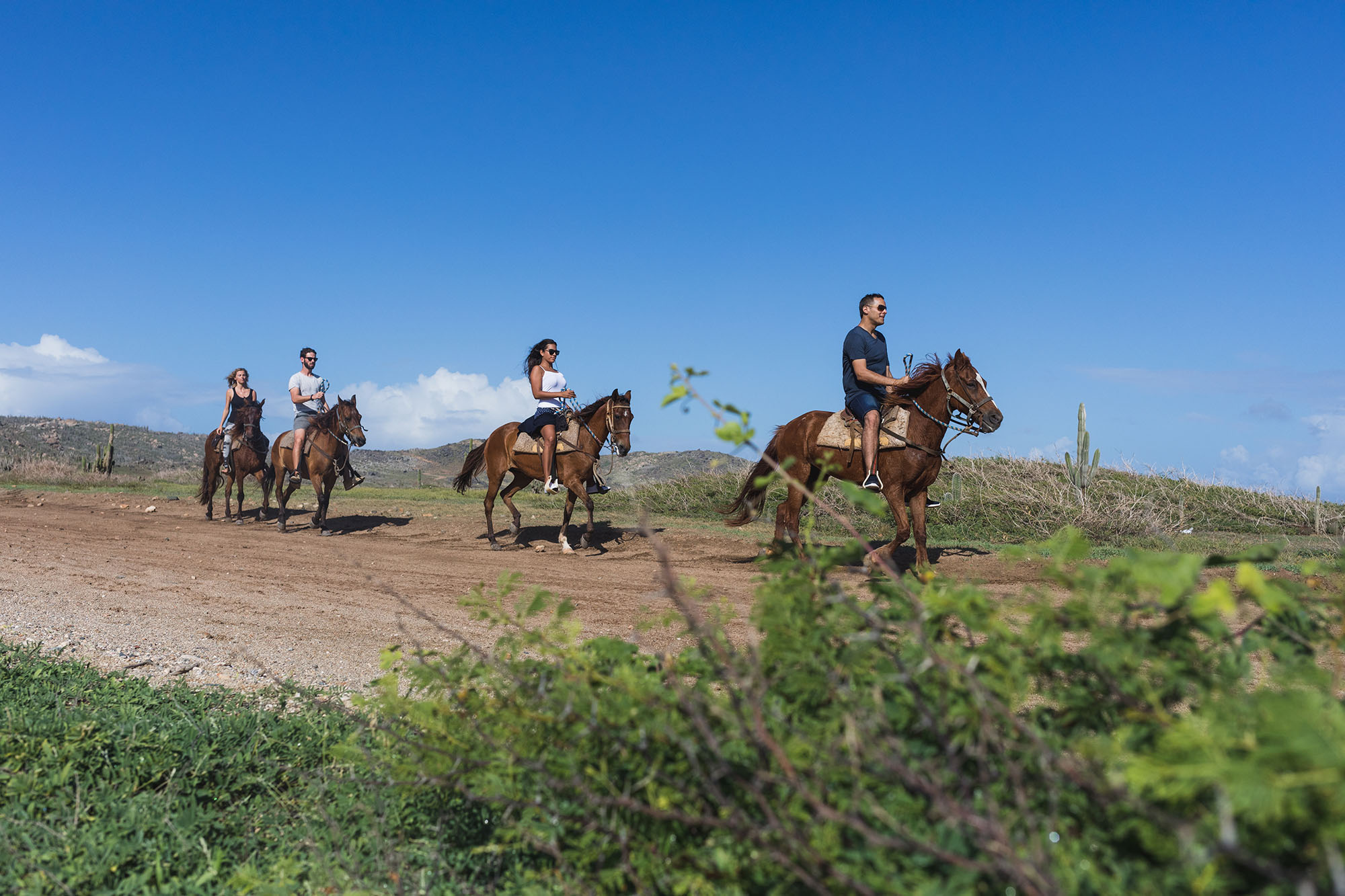 About - Horseback Riding in Aruba
